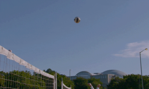 Volleyball Dive GIF by DC Fray - Find & Share on GIPHY