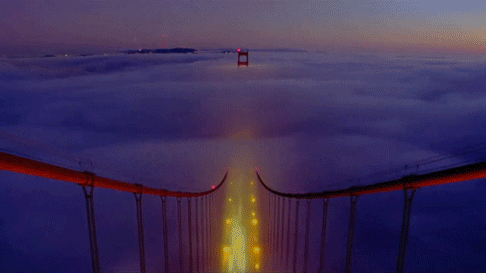 Bridge Gate GIF - Find & Share on GIPHY