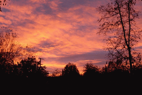 Fall GIF - Find & Share on GIPHY