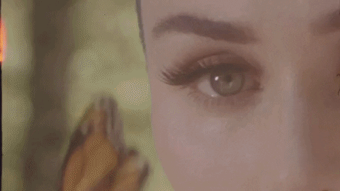 Low Key In Love GIF by Jaira Burns - Find & Share on GIPHY