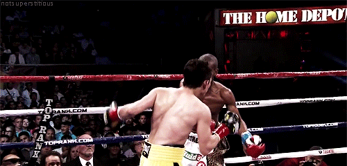 Boxing GIF - Find & Share on GIPHY