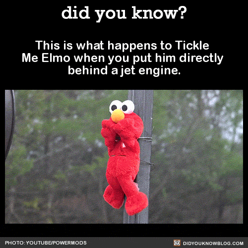 Tickle Find And Share On Giphy