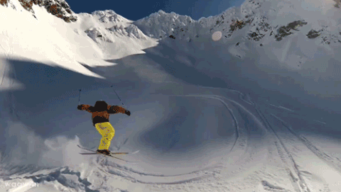 Ski GIF - Find & Share on GIPHY