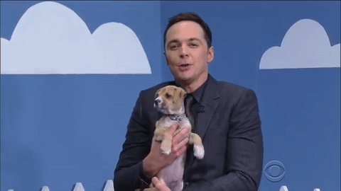 Jim Parsons Lies Through His Teeth To Find Puppies Their Forever Homes ...