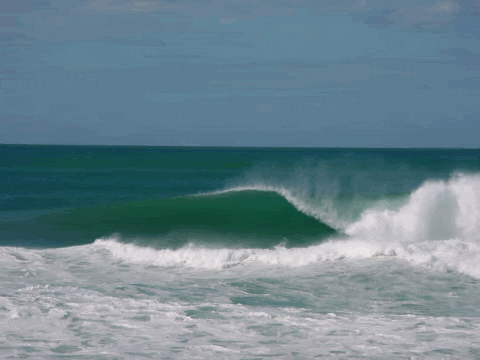 Mar GIF - Find & Share on GIPHY