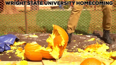 Smash Smashing Pumpkins GIF by Wright State University - Find & Share ...