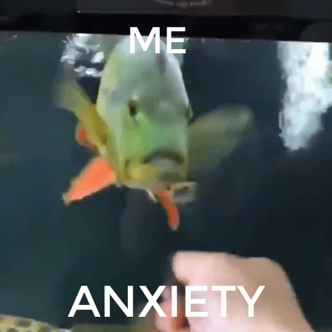 Fish GIF - Find & Share on GIPHY