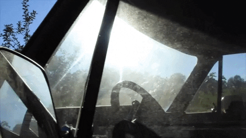 Scenic GIF by Originals - Find & Share on GIPHY