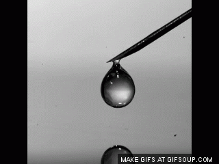The Drop GIF - Find & Share on GIPHY