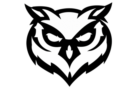 Owl Sticker by Runarchy RC for iOS & Android | GIPHY