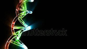 Dna GIFs - Get the best GIF on GIPHY