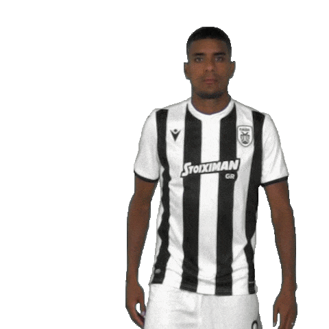 Football Paokfamily Sticker by PAOK FC for iOS & Android | GIPHY