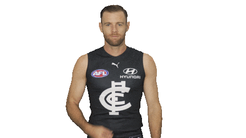 Carlton Fc Afl Sticker by Carlton Football Club for iOS & Android | GIPHY