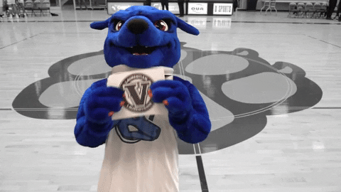 Oshawa Ridgeback GIF by Ontario Tech Ridgebacks - Find & Share on GIPHY