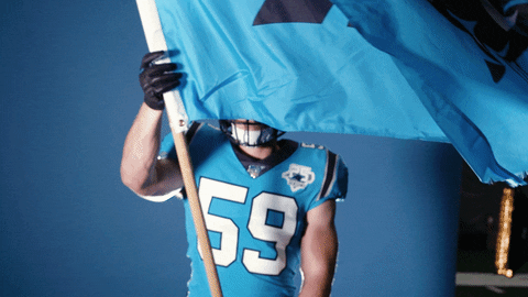 Nfl GIF by Carolina Panthers - Find & Share on GIPHY