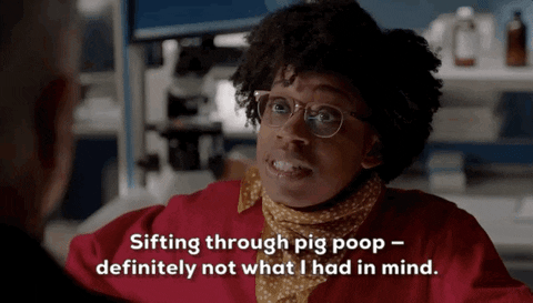 Jethro Gibbs GIF by CBS - Find & Share on GIPHY