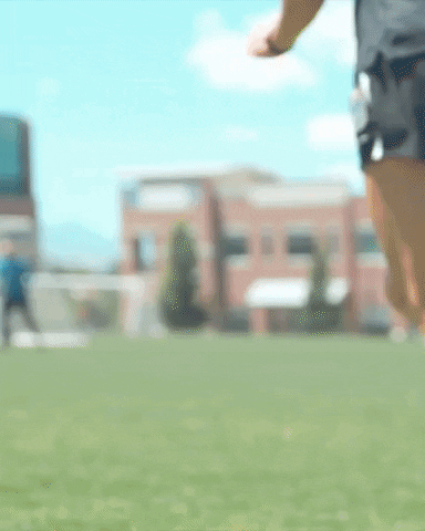 Soccer Goalkeeper GIF by OL Reign - Find & Share on GIPHY