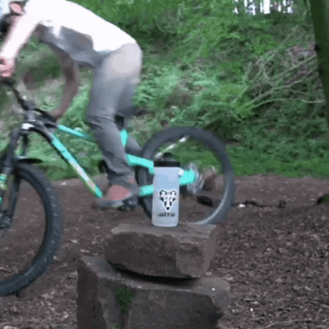 Wilderness Trail Bikes GIF - Find & Share on GIPHY