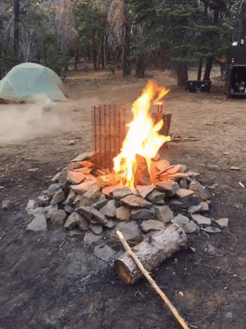 Camp Fire GIF by Justin - Find & Share on GIPHY