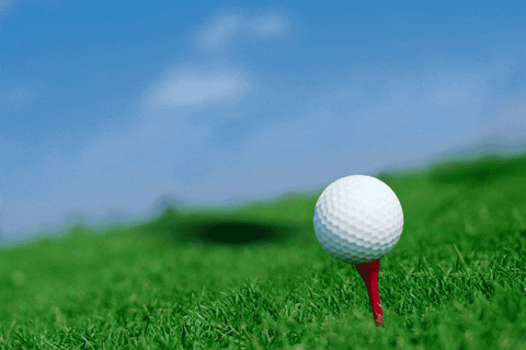 Golf GIF - Find & Share on GIPHY