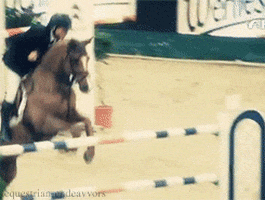 Show Jumping GIFs - Find & Share on GIPHY
