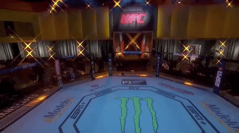Sport Mma GIF by UFC - Find & Share on GIPHY