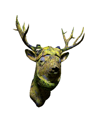 Artists On Tumblr Stag GIF by badblueprints - Find & Share on GIPHY