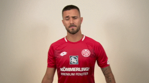 Danny Latza GIF by 1. FSV Mainz 05 - Find & Share on GIPHY