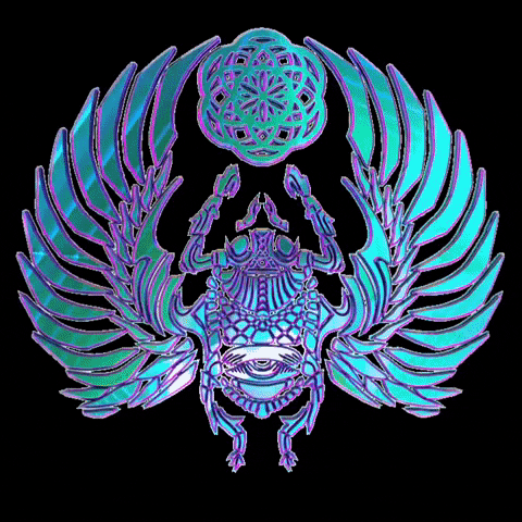 Rage Nation Apparel GIF - Find & Share on GIPHY