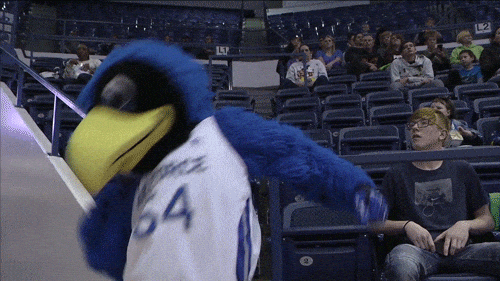 Air Force Academy Falcons GIF by Air Force Athletics - Find & Share on ...