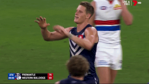 Taberner Matthewtaberner GIF by Fremantle Dockers - Find & Share on GIPHY