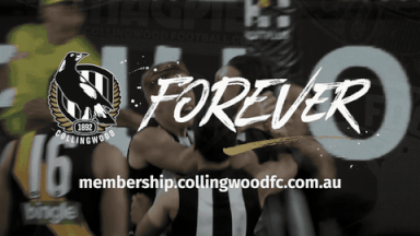 Collingwood Magpies Goal GIF by CollingwoodFC - Find & Share on GIPHY