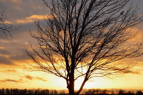 Wind GIF - Find & Share on GIPHY