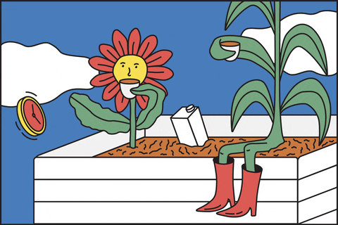 Oatside GIF - Find & Share on GIPHY