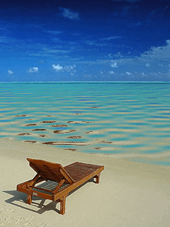 Beach GIF - Find & Share on GIPHY