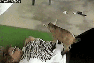 Kid Jumping GIF by Cheezburger - Find & Share on GIPHY