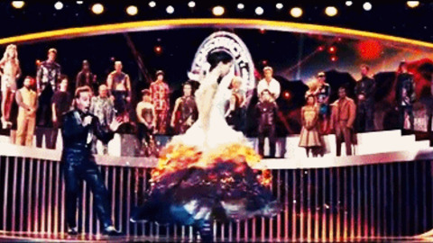 The Hunger Games GIF - Find & Share on GIPHY