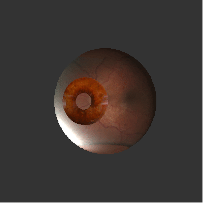 Eye GIF - Find & Share on GIPHY