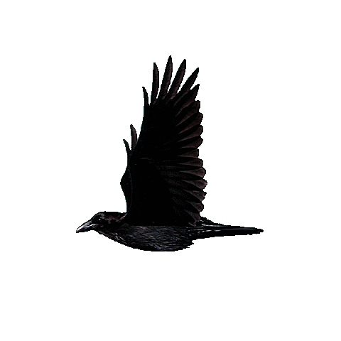 Sticker by HULU for iOS & Android | GIPHY