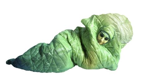 Cocoon Flavia Sticker by Moderno for iOS & Android | GIPHY