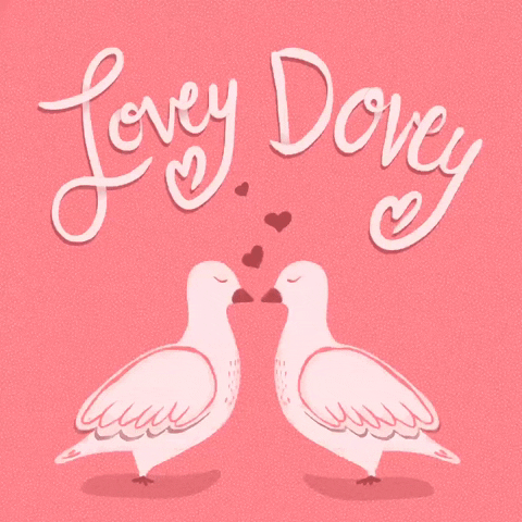 Love You Pink GIF - Find & Share on GIPHY