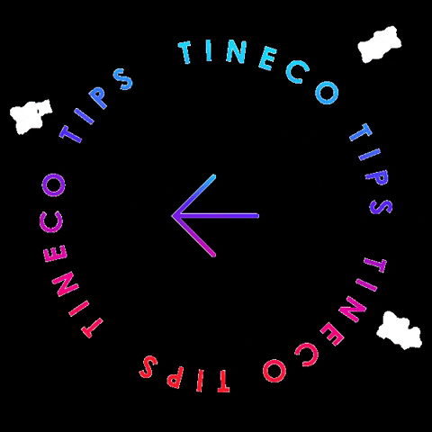 Cleaning Tips GIF by Tineco - Find & Share on GIPHY