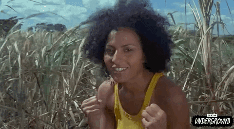 Cult Classic Women GIF by Turner Classic Movies - Find & Share on GIPHY