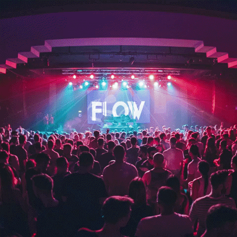 Reworks Festival GIF - Find & Share on GIPHY