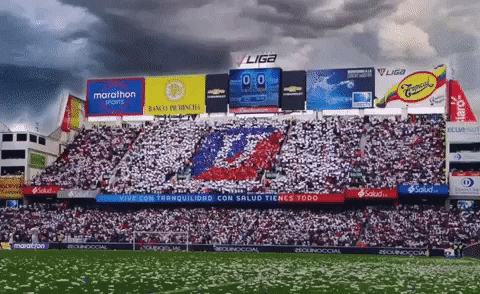 Liga De Quito Ecuador GIF by Jonathanldu - Find & Share on GIPHY