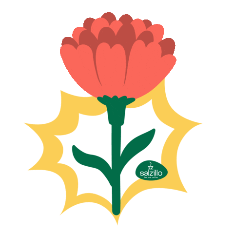 Carnation Clavel Sticker by Cafes Salzillo for iOS & Android | GIPHY