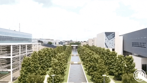 UT Dallas GIF - Find & Share on GIPHY