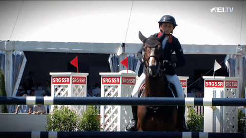 FEI Global GIF - Find & Share on GIPHY