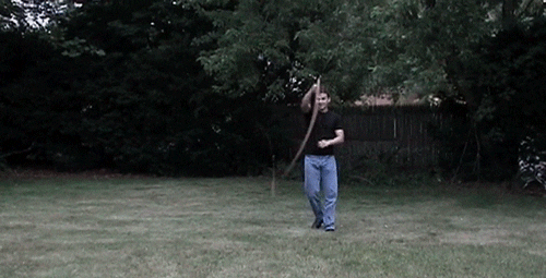 Conan25 Bull Whip GIF by Team Coco - Find & Share on GIPHY