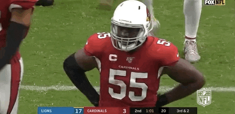 Arizona Cardinals Football GIF by NFL - Find & Share on GIPHY